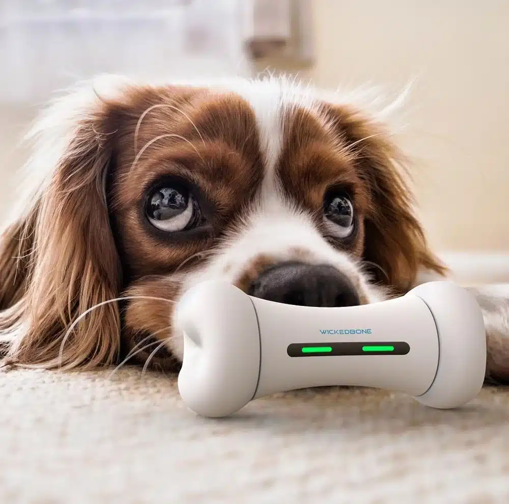 High-Tech Pet Gadgets for Animal Lovers | Simply Geeky